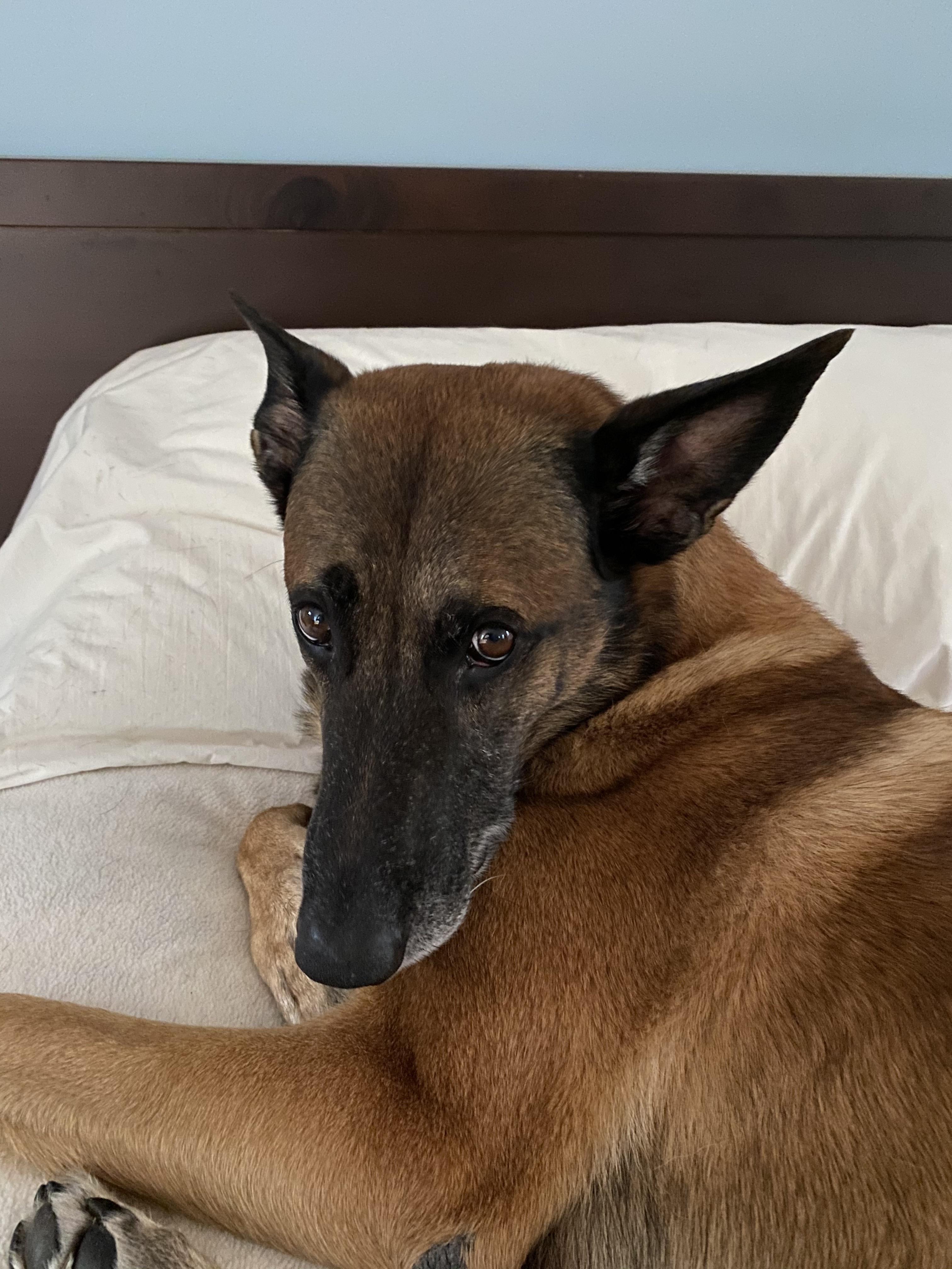 Why Hello There ёясл Scrolller