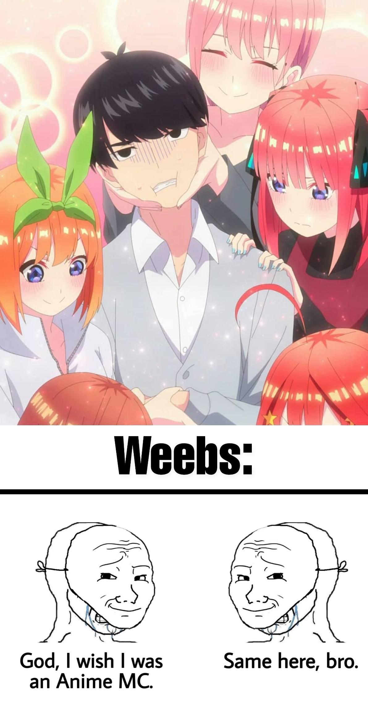 Why is he still grumpy tho.. | Scrolller