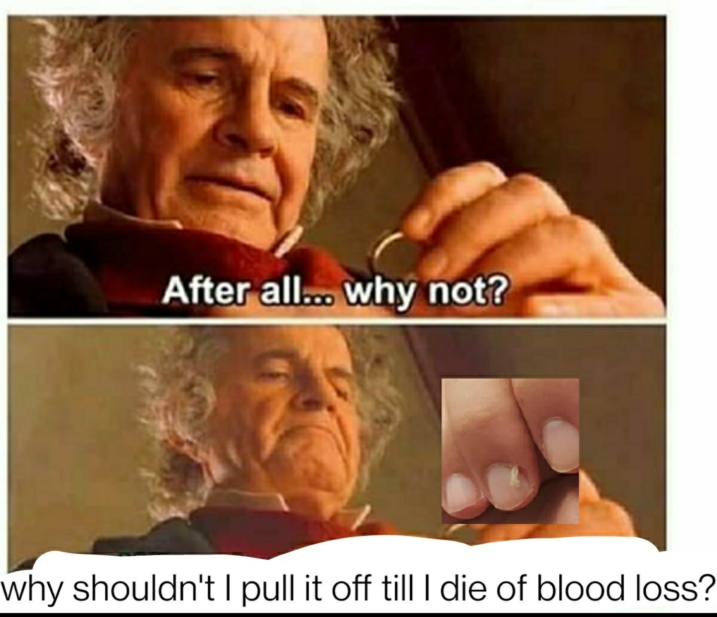 Why shouldn't I? | Scrolller