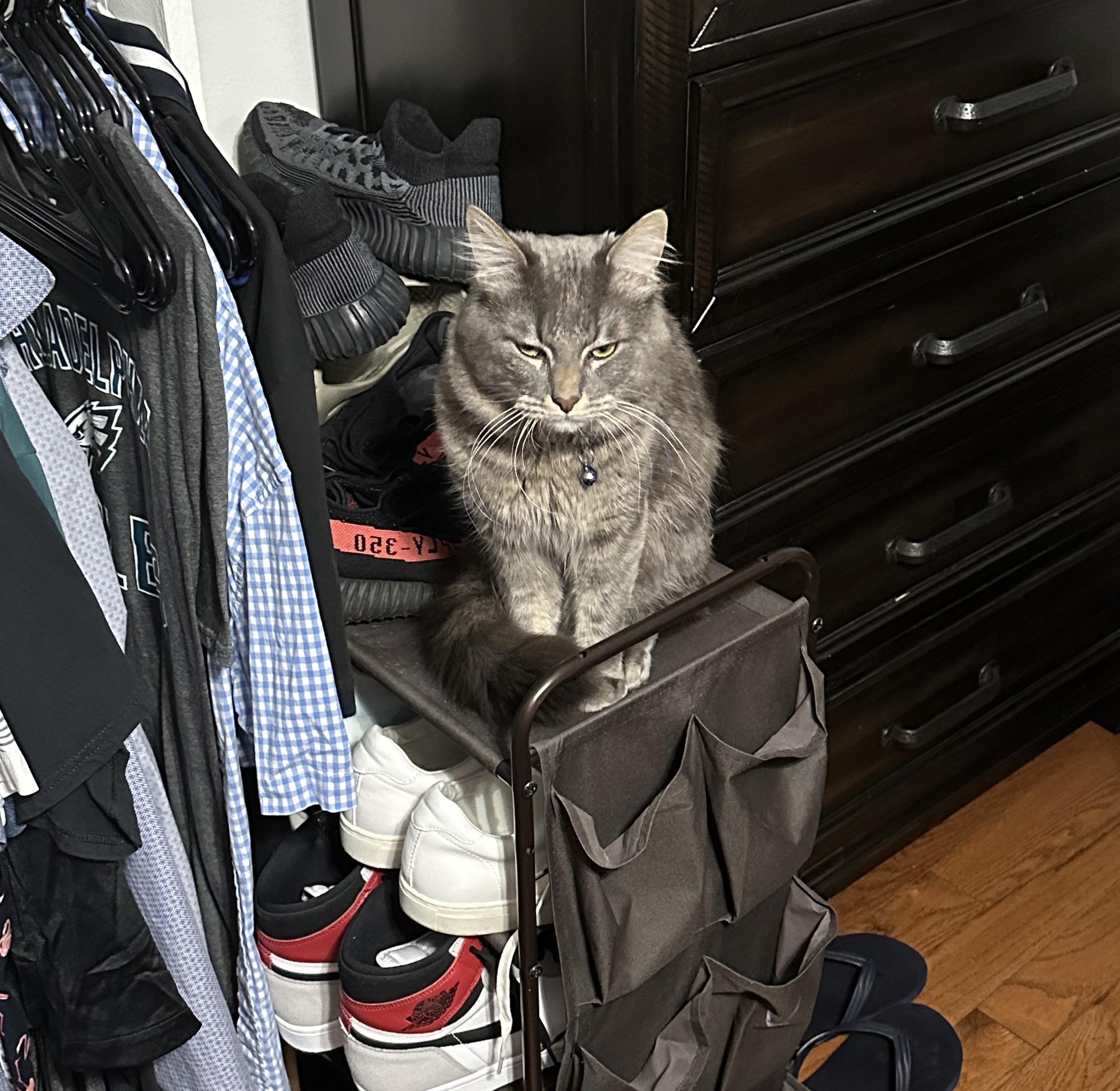 Why so serious? | Scrolller