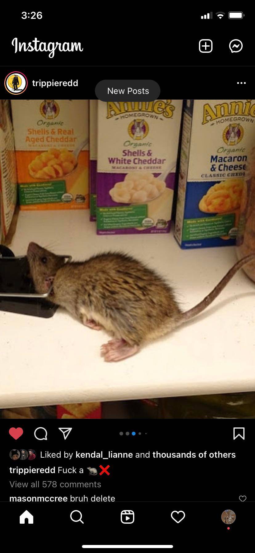 🤦🤦🤦 why trippie | Scrolller