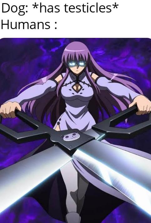 Why you do dis hooman? | Scrolller