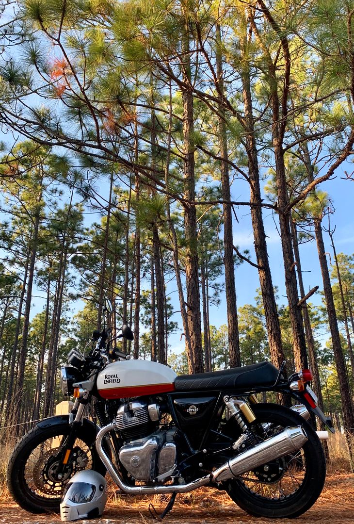 Wilderness | Scrolller