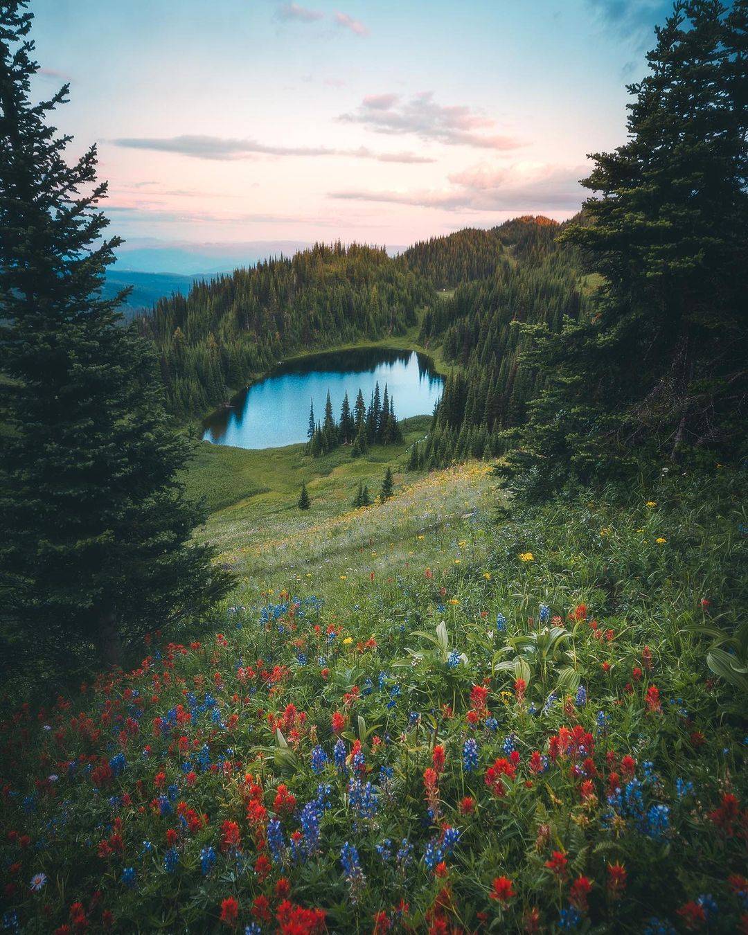 Wildflower season | Scrolller