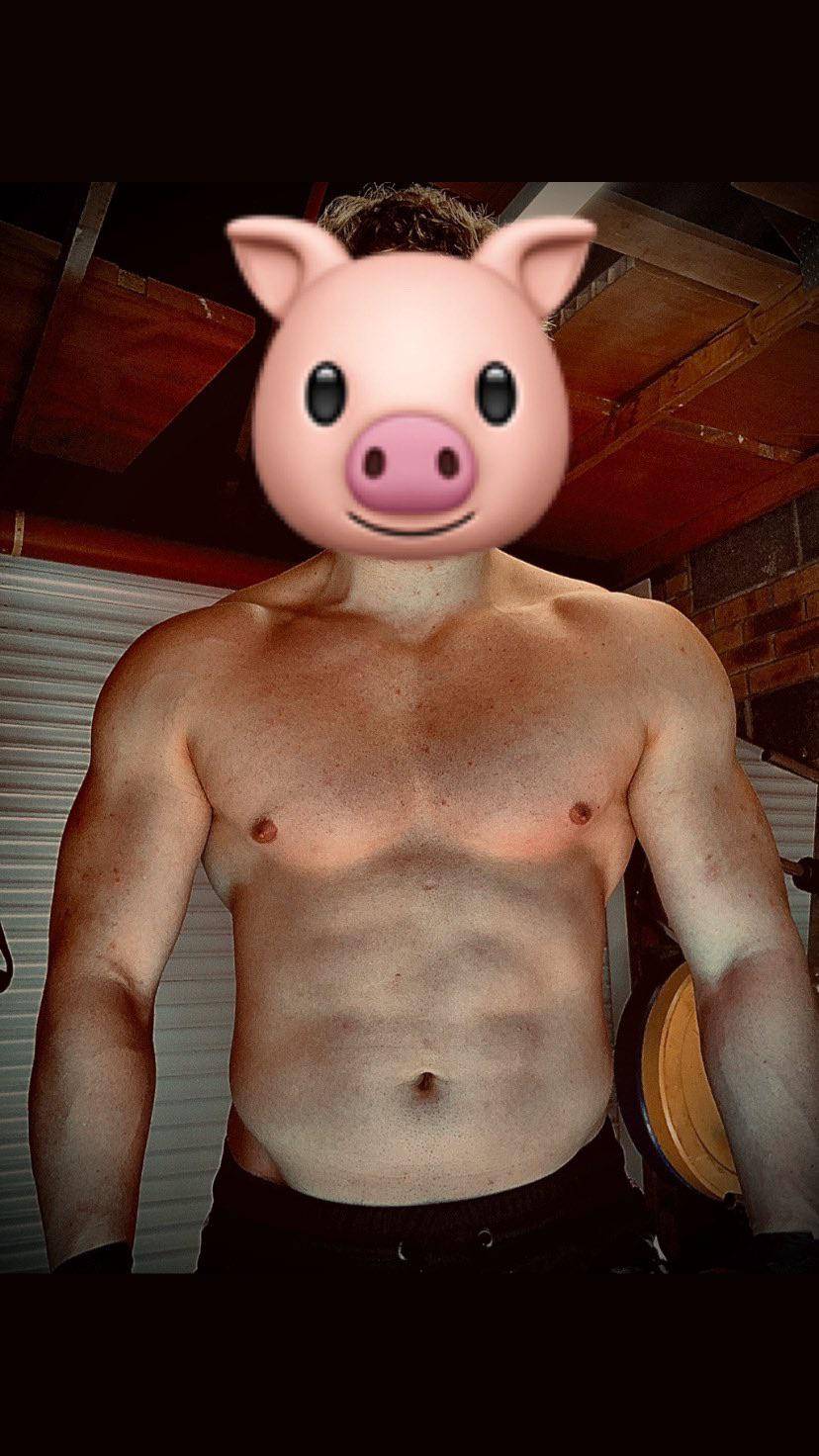 Will Ospreay!! 🐷 | Scrolller