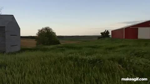 Wind through Grass | Scrolller