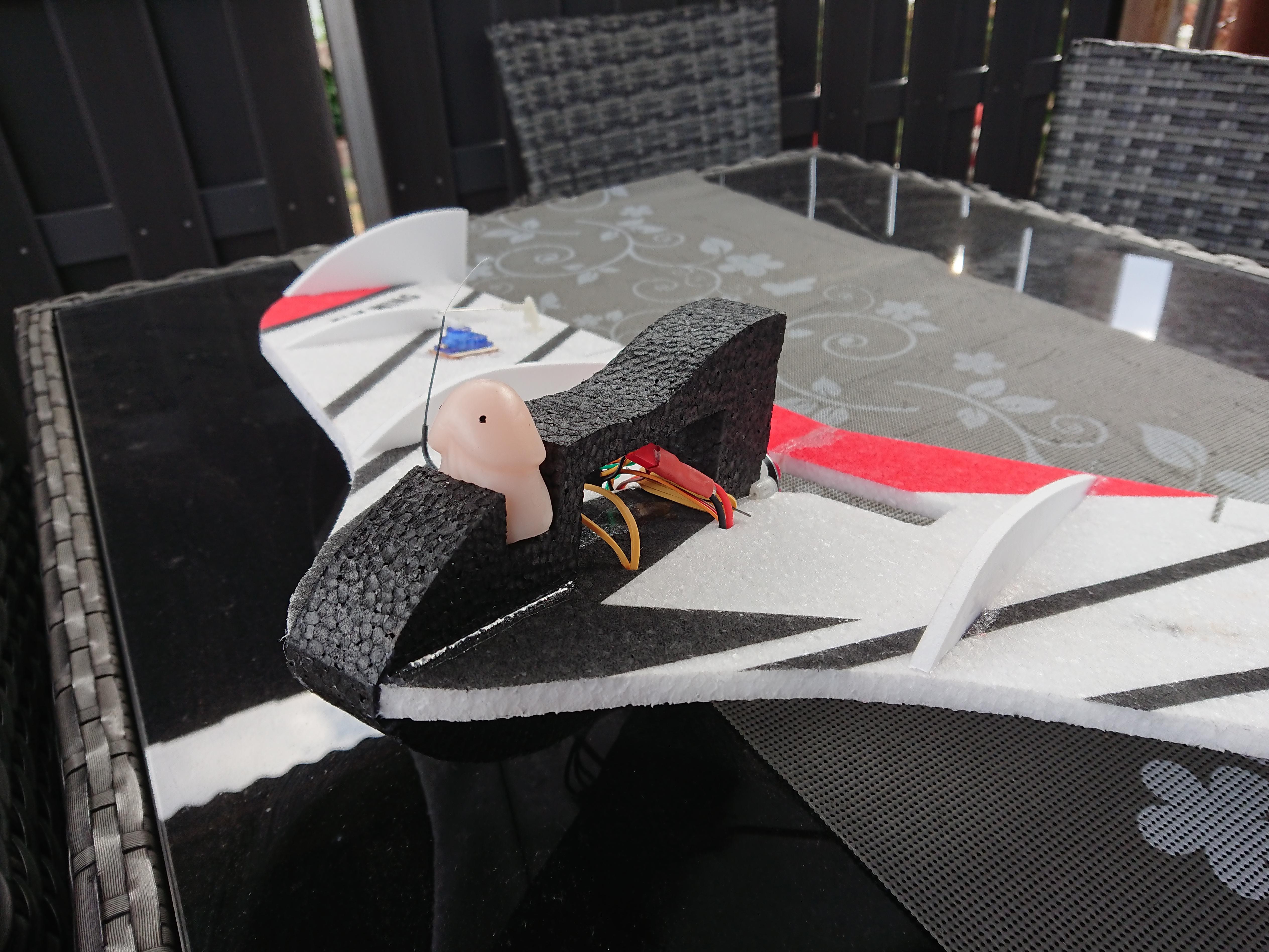 wing ding ʕ•ᴥ•ʔ | Scrolller