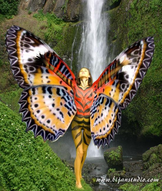 Winged Wonder | Scrolller