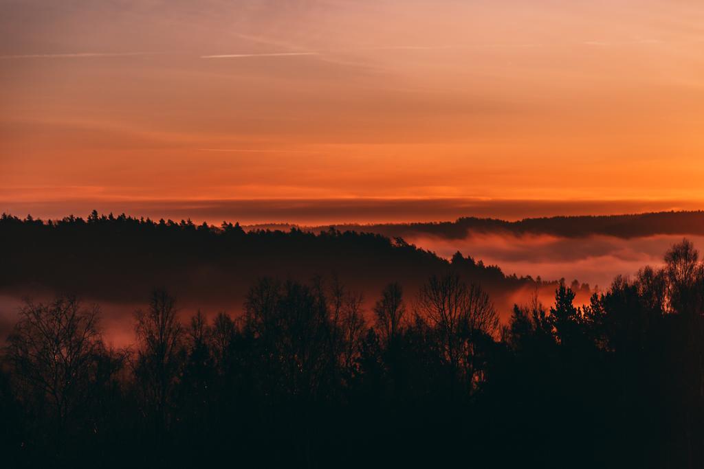 Winter sunrise in Sweden! [OC] | Scrolller