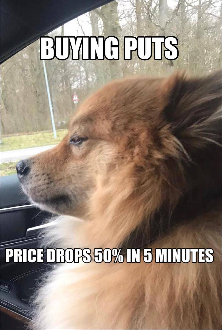 Wir sind alle schon dort gewesen | Scrolller