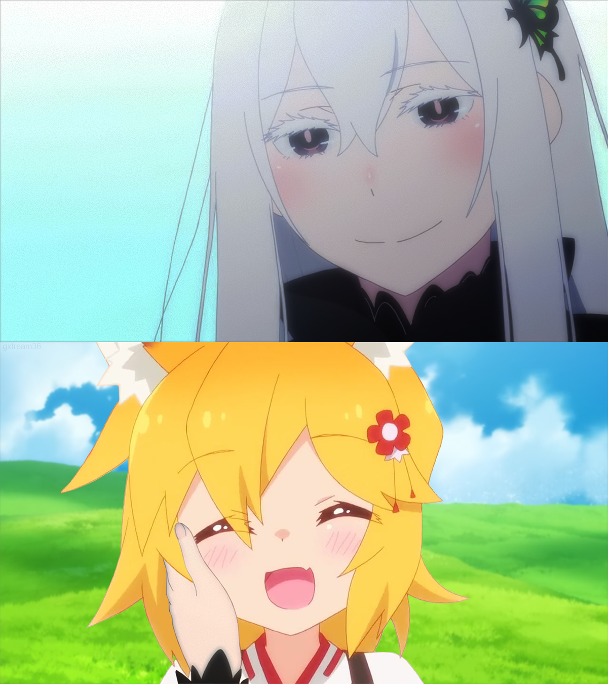 Witch of greed meets a fluffy fox | Scrolller