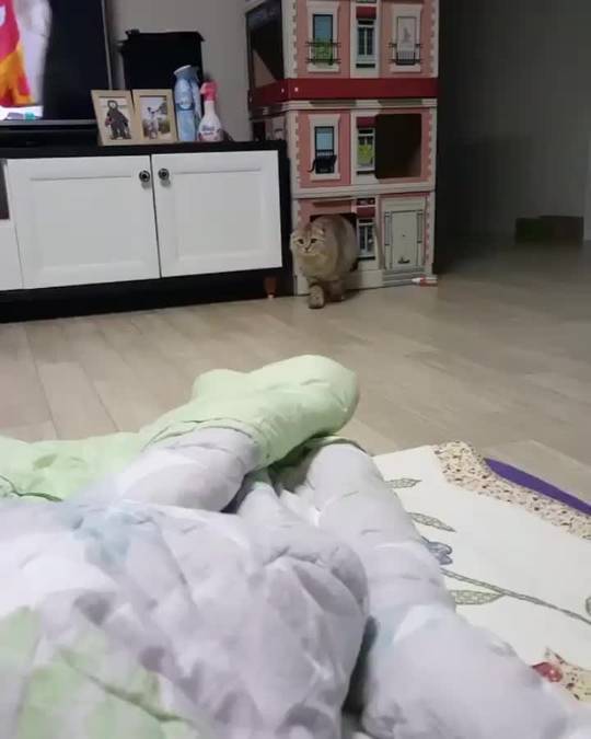 ...Woah! | Scrolller