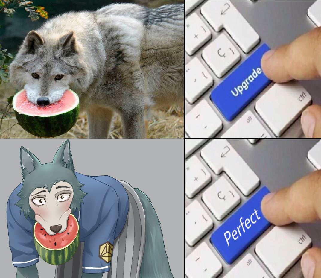 wolf_irl | Scrolller