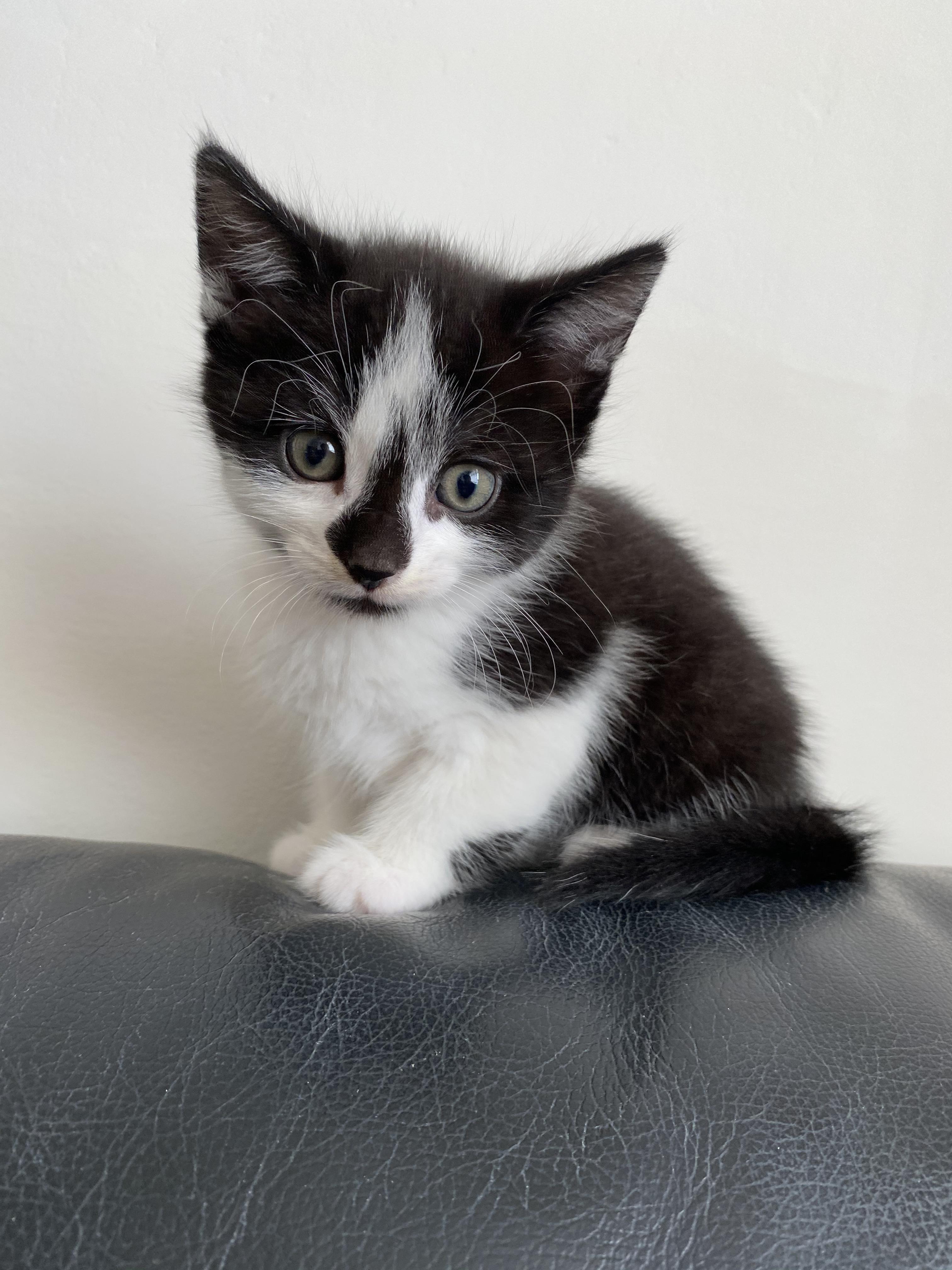 Won’t be too long until she goes to a new home. Not looking forward to that day at all. | Scrolller