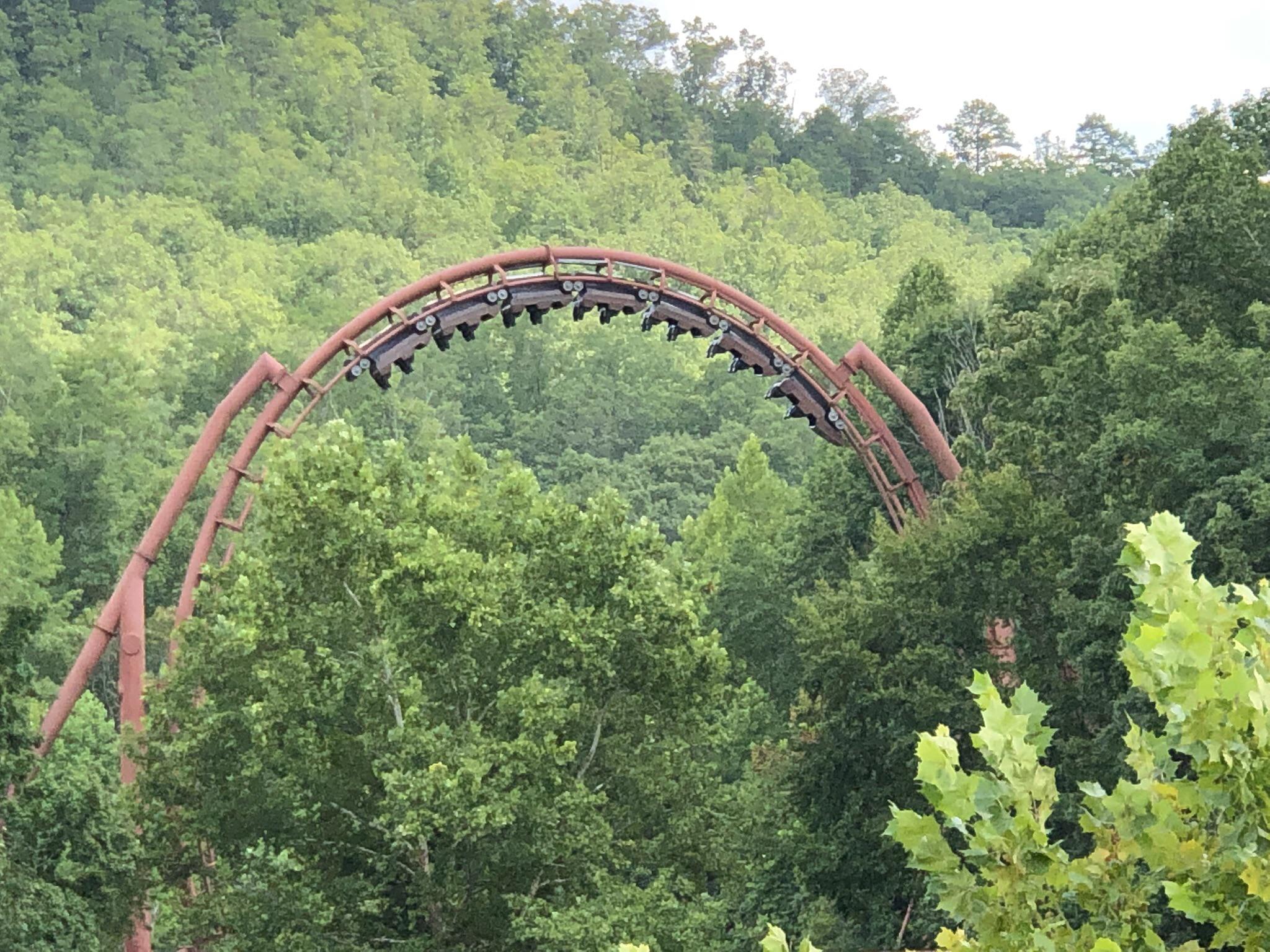 Wonky Loop - Dollywood | Scrolller