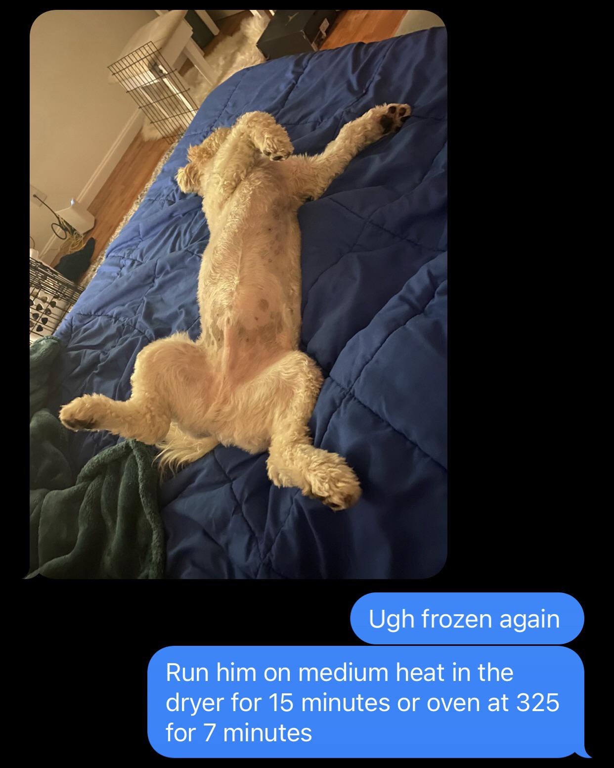 Works every time | Scrolller