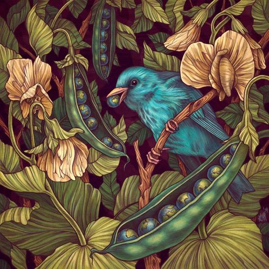 World Peas by Kate O'Hara | Scrolller