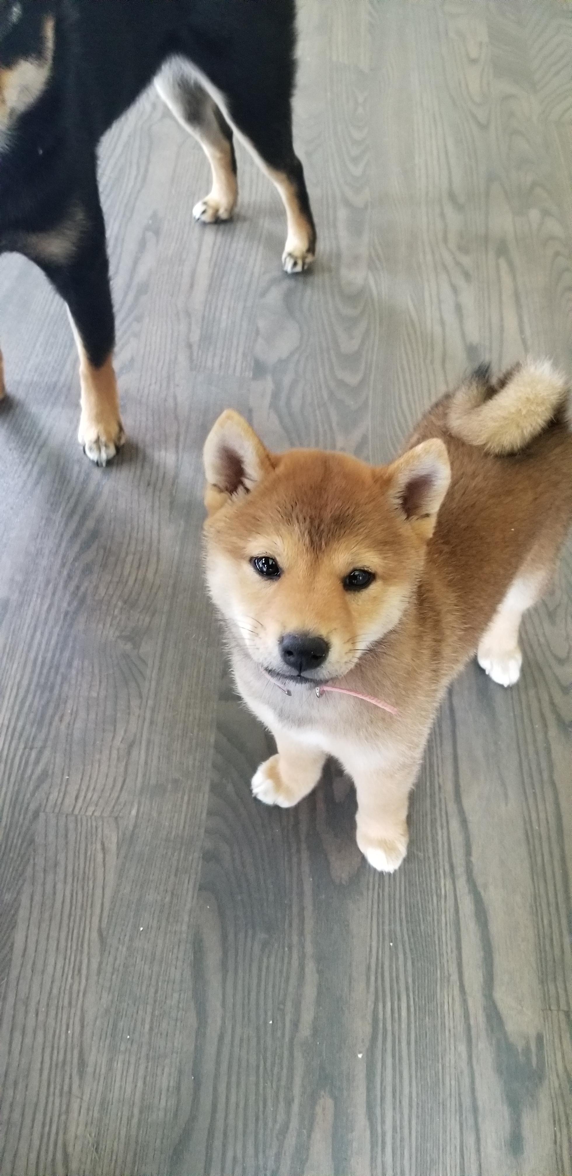 World welcome Mika. | Scrolller