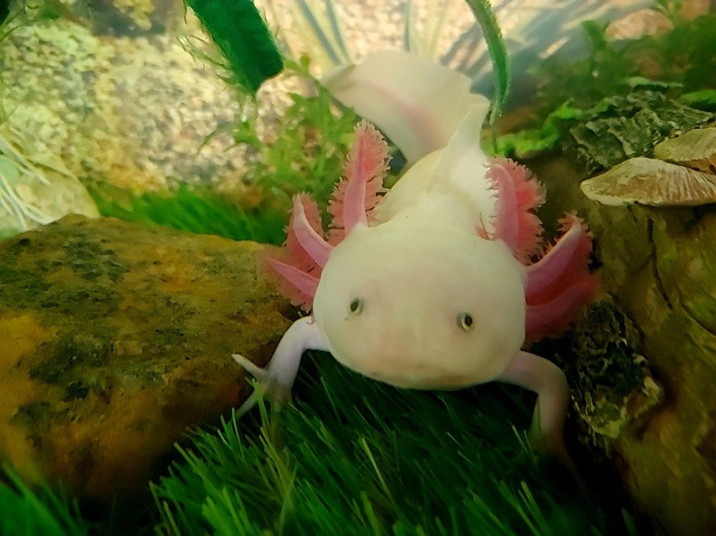 Worm now! | Scrolller