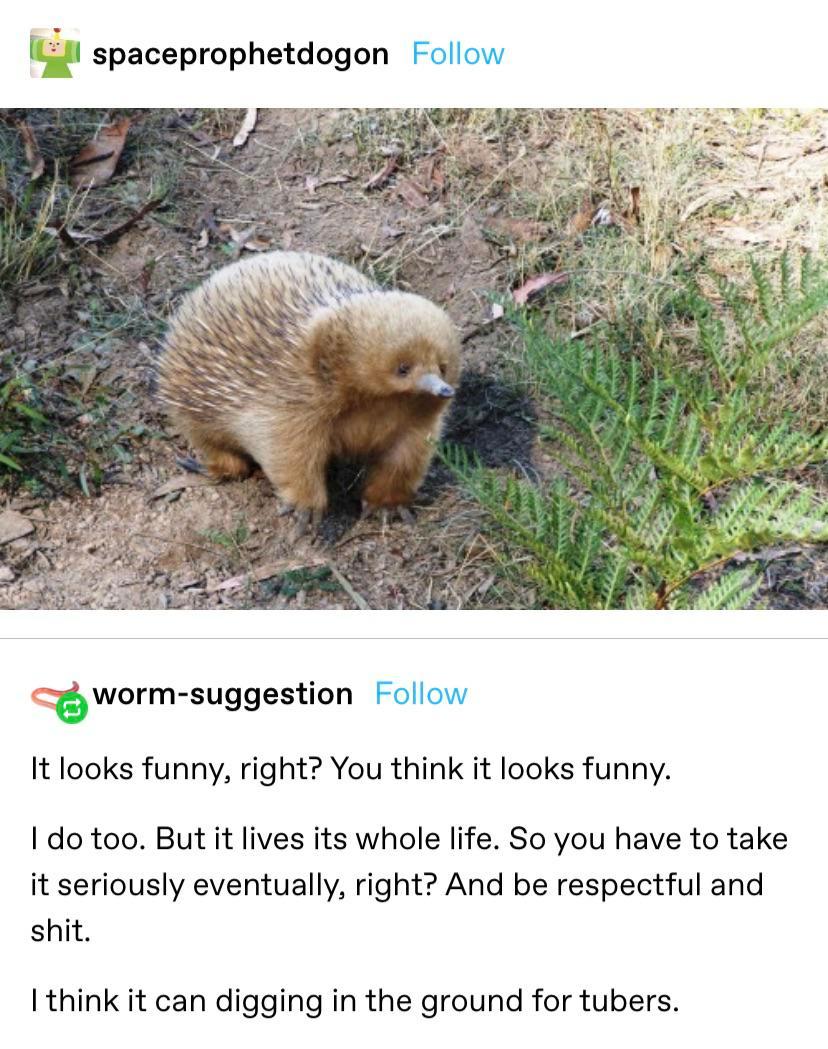 wormboi makes a good point | Scrolller