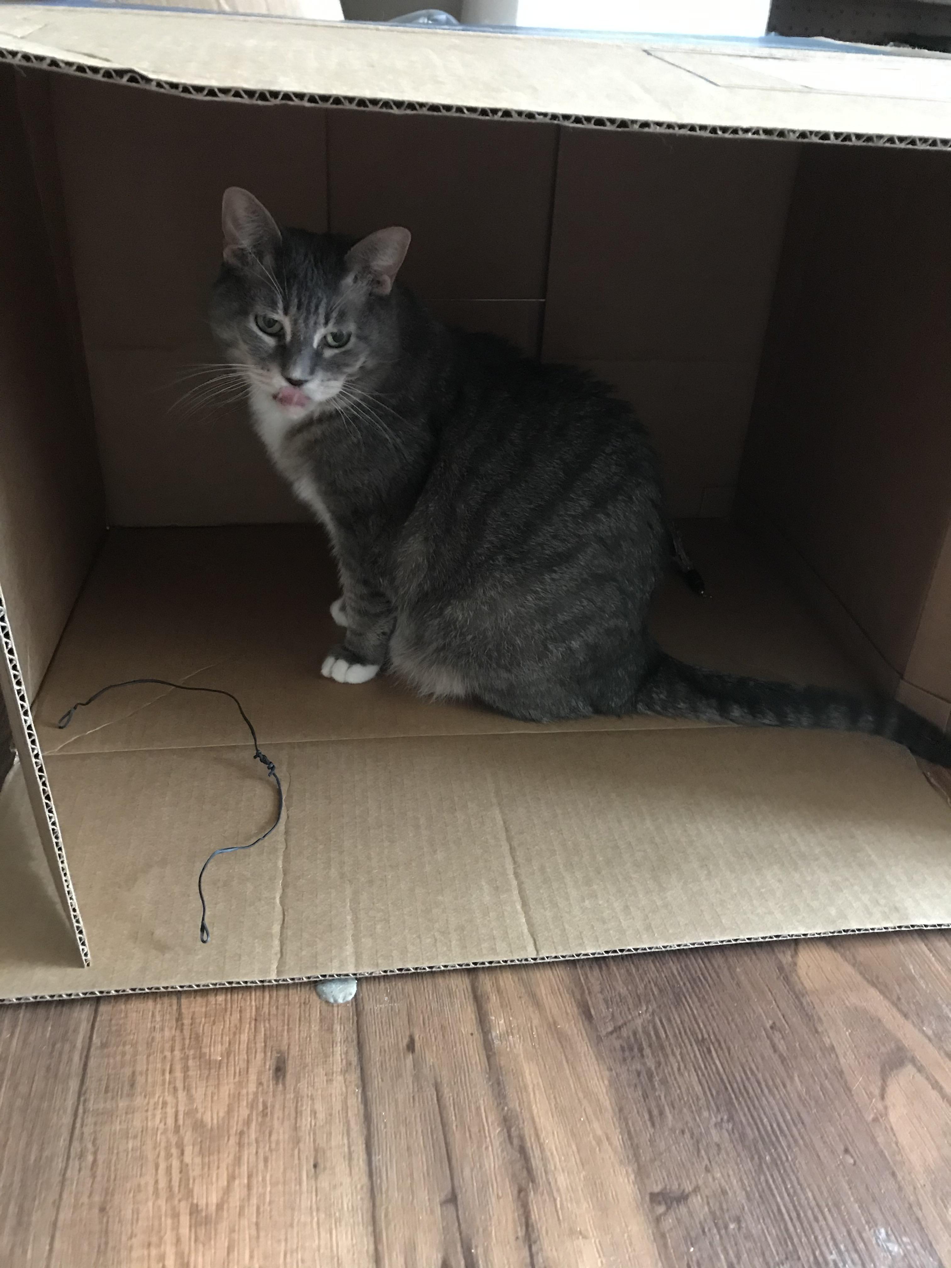 Y’all meet Nala | Scrolller