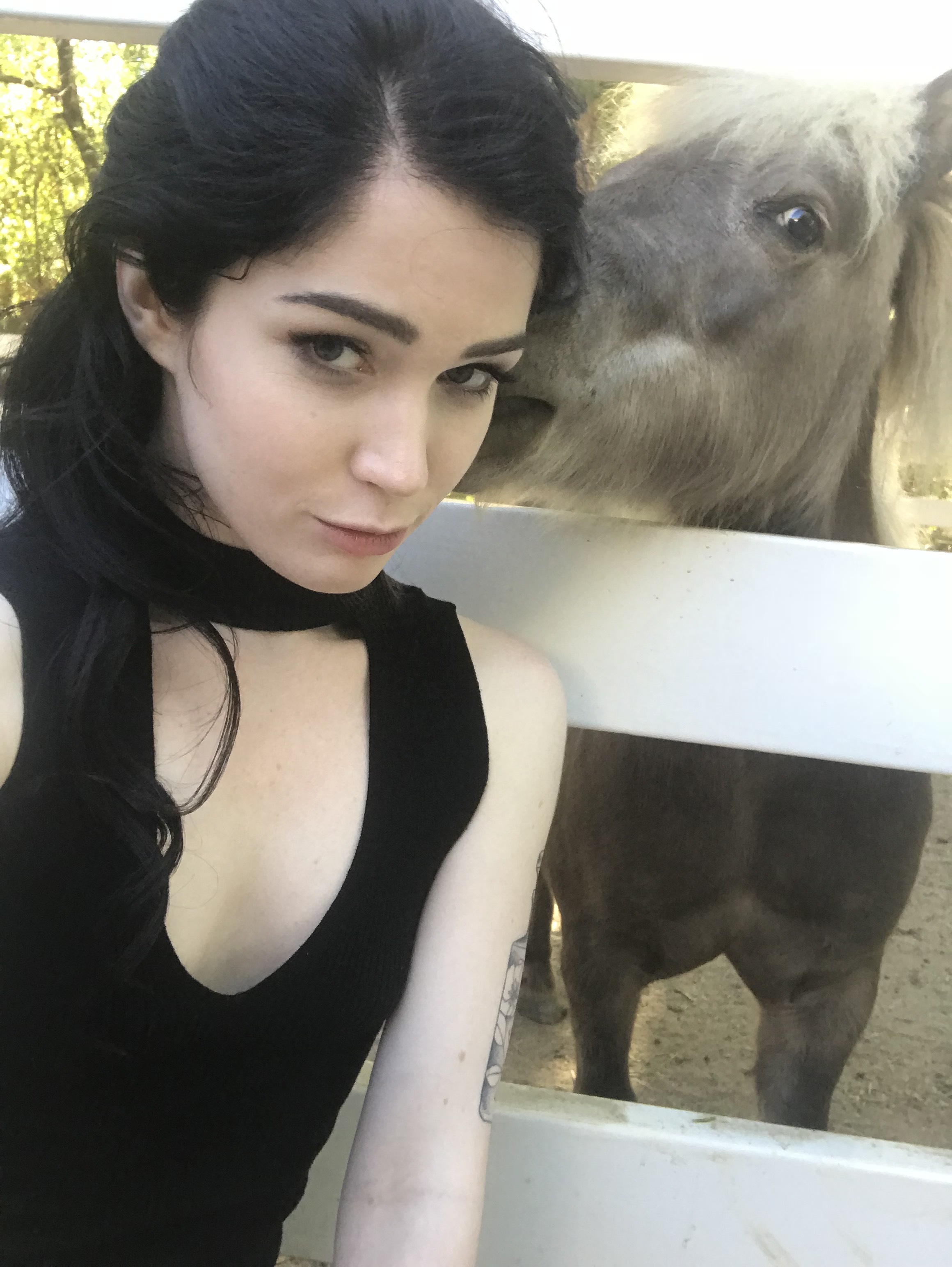 Yennefer and donkey | Scrolller
