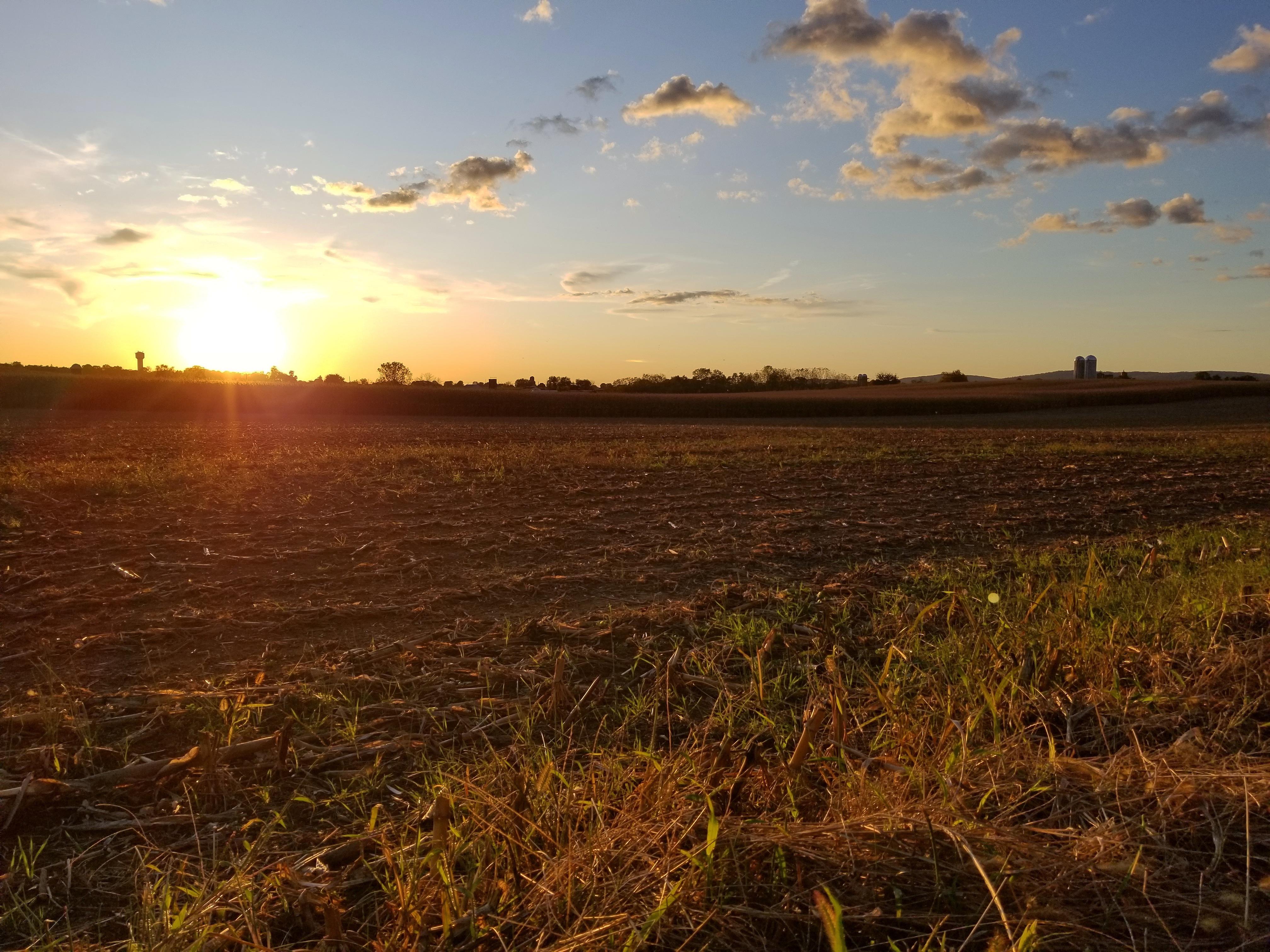 Yesterday's amazing sunset | Scrolller