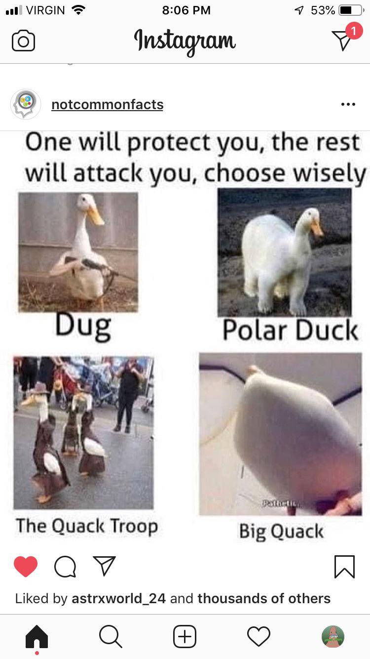 You better choose wisely | Scrolller