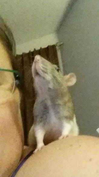 You can call me your Majesty. | Scrolller