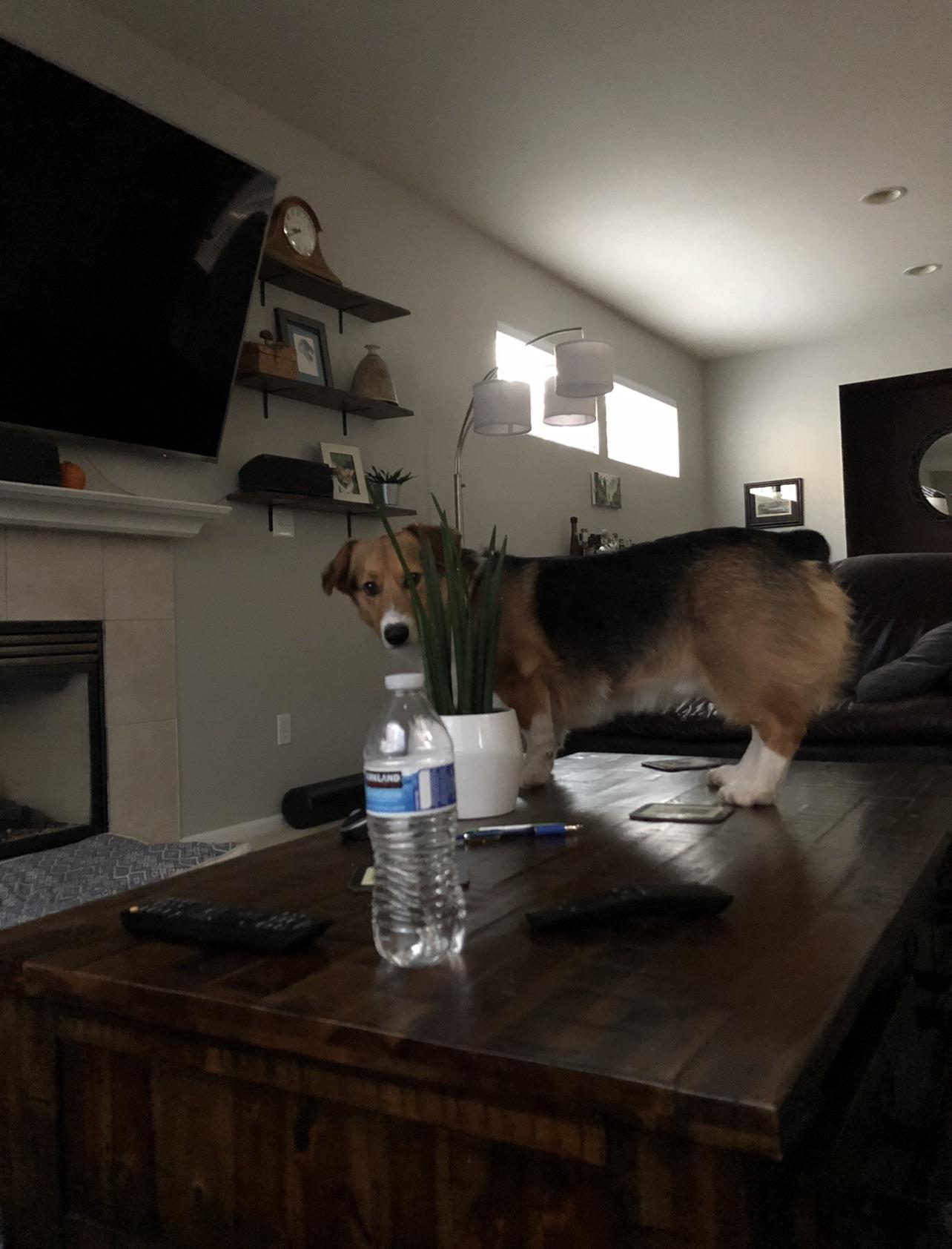 You can’t see me | Scrolller