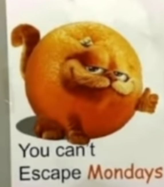 You cant escape | Scrolller