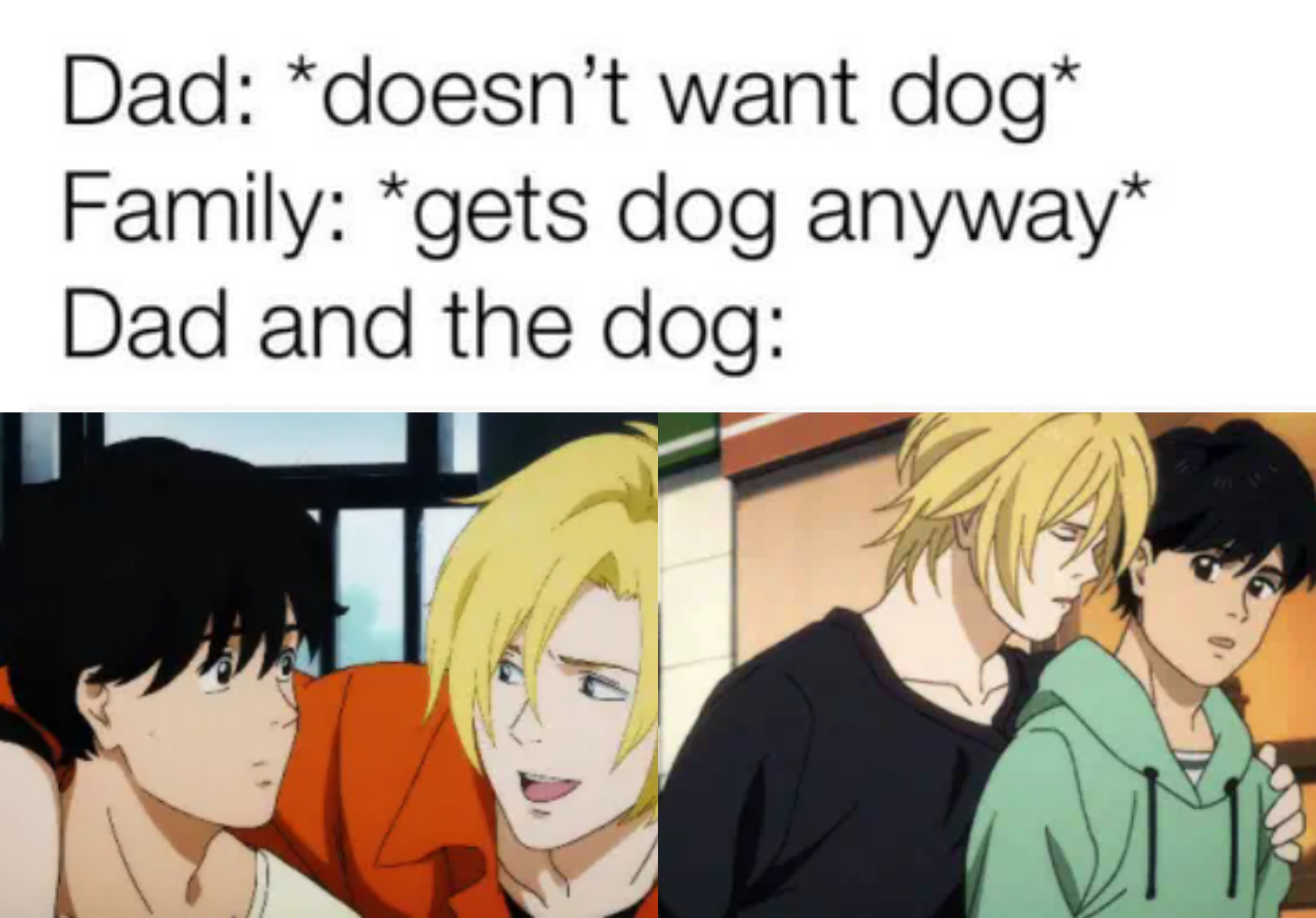 You can't go wrong with doggos | Scrolller