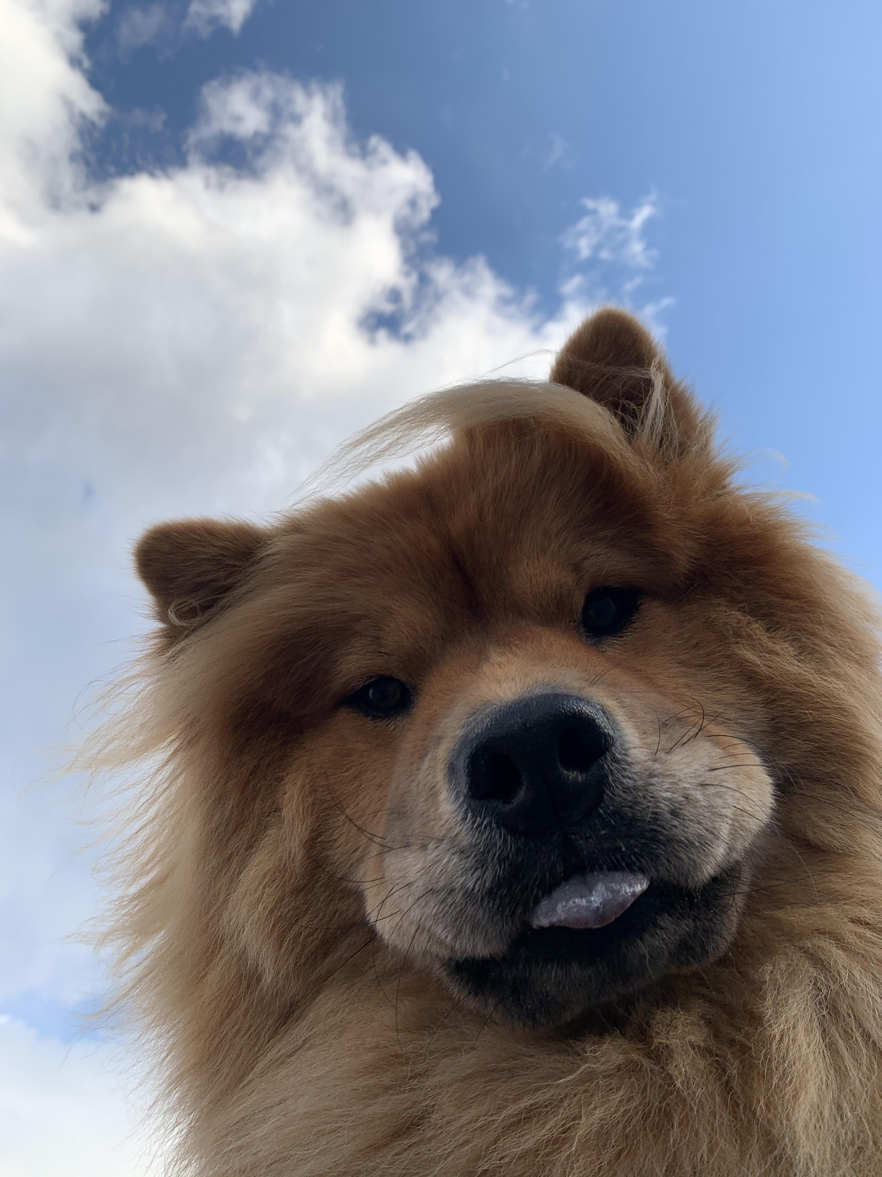 You got any games? | Scrolller