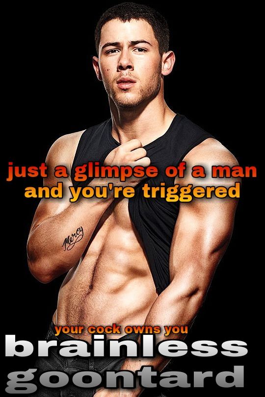 You have no brain. You're just a horny cock. Get triggered | Scrolller