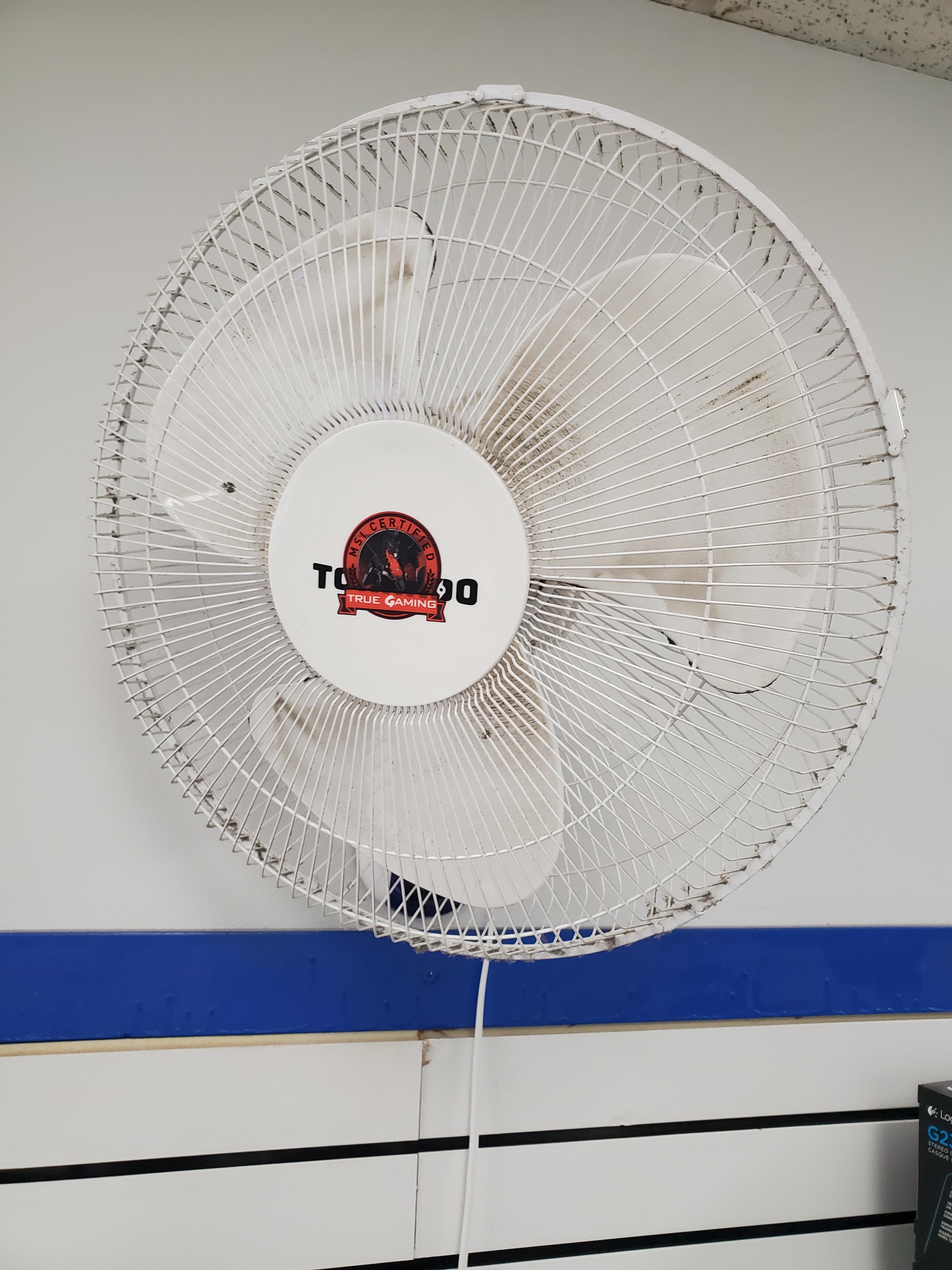 You like them dirty and up against the wall? | Scrolller