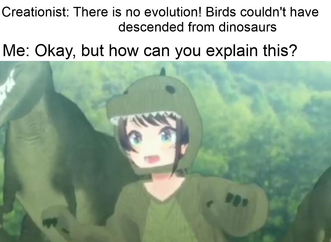 You might not know this, but evolution is amazing | Scrolller