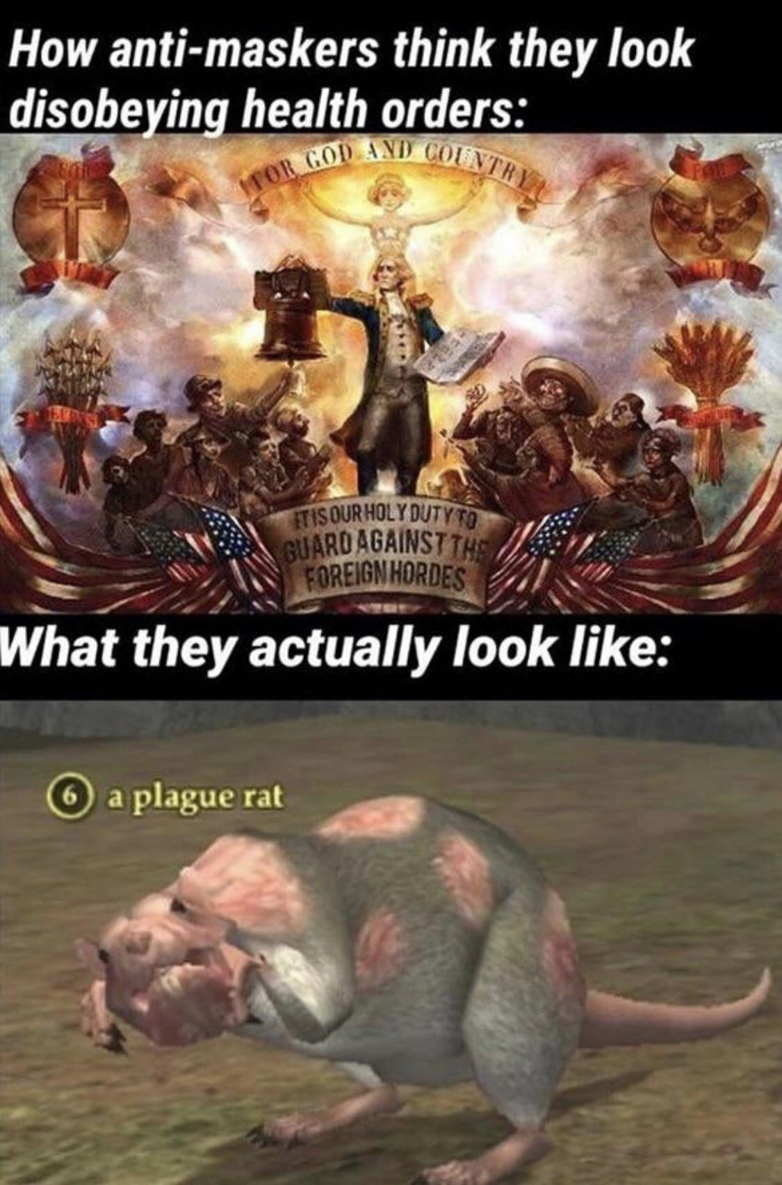 You’re making these memes write themselves... | Scrolller