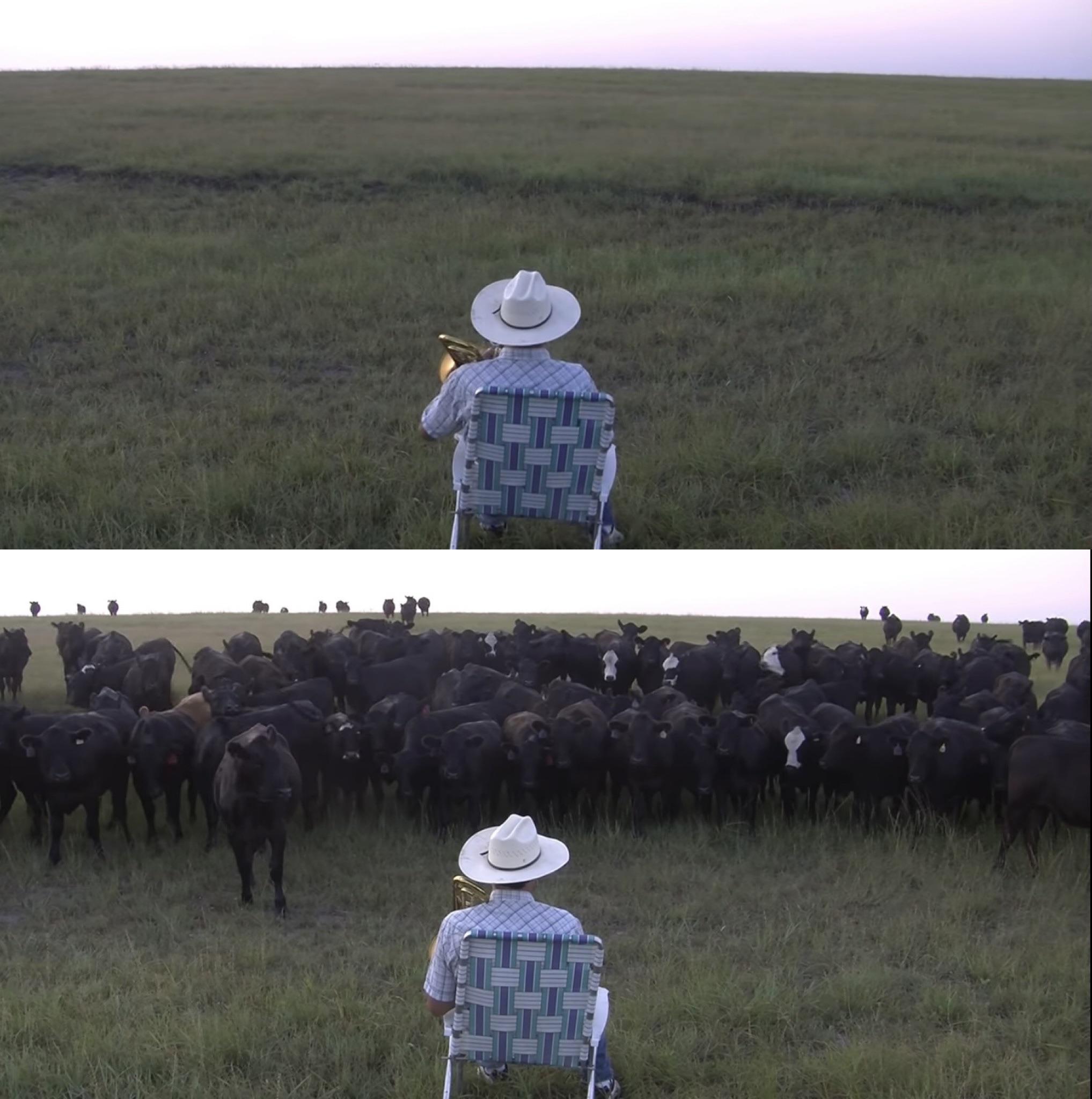 You’re welcome | Scrolller