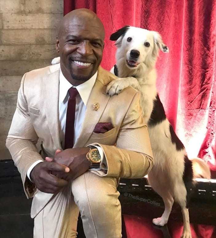 Your AGT has just been blessed | Scrolller