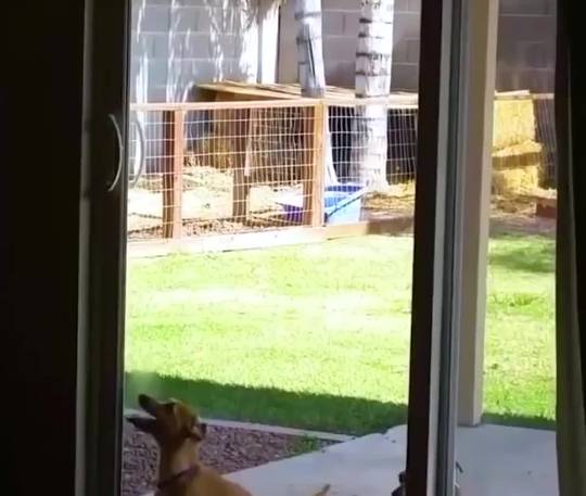 You've got to admire the effort. | Scrolller