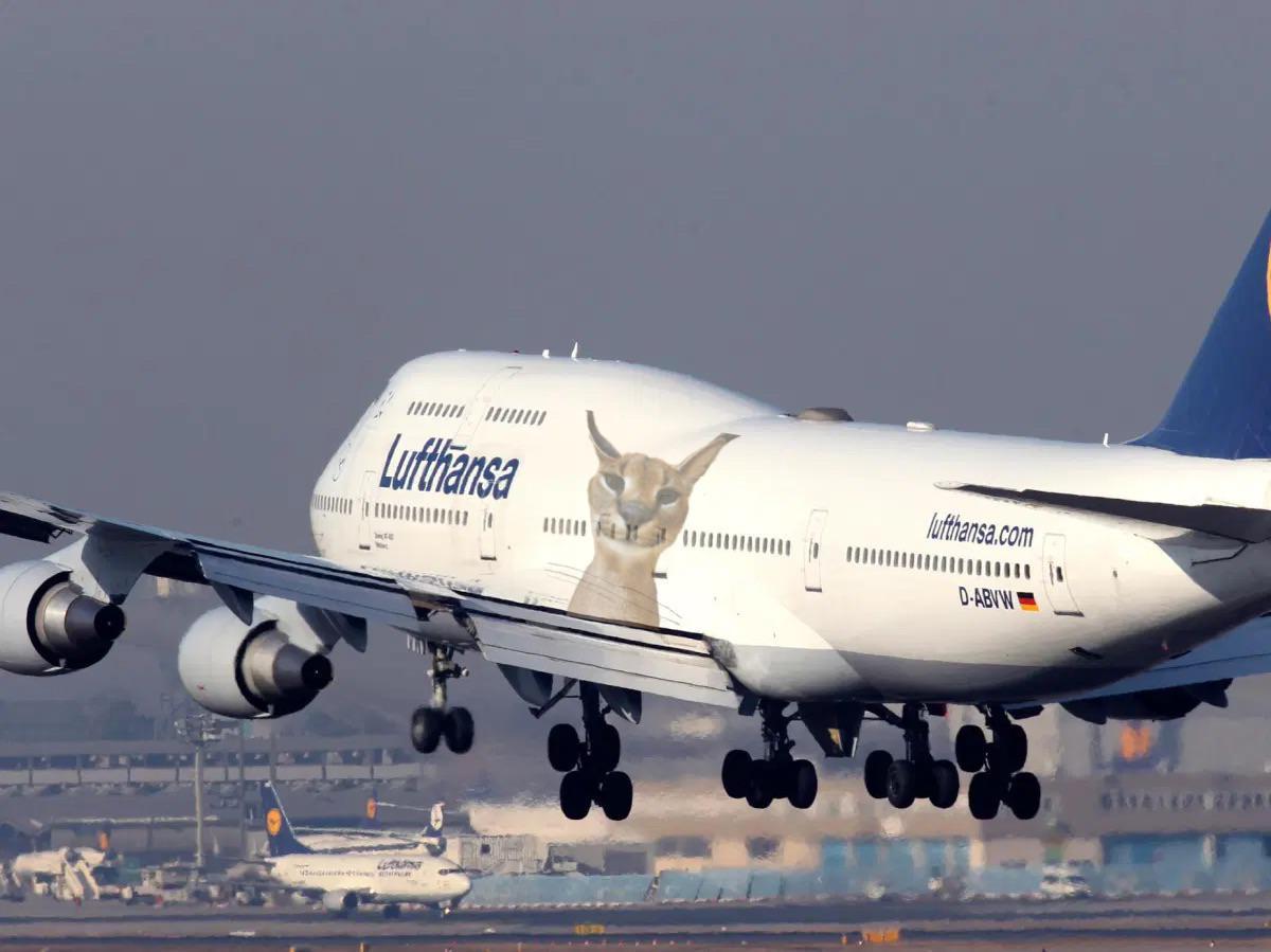 zaboeing 747 | Scrolller