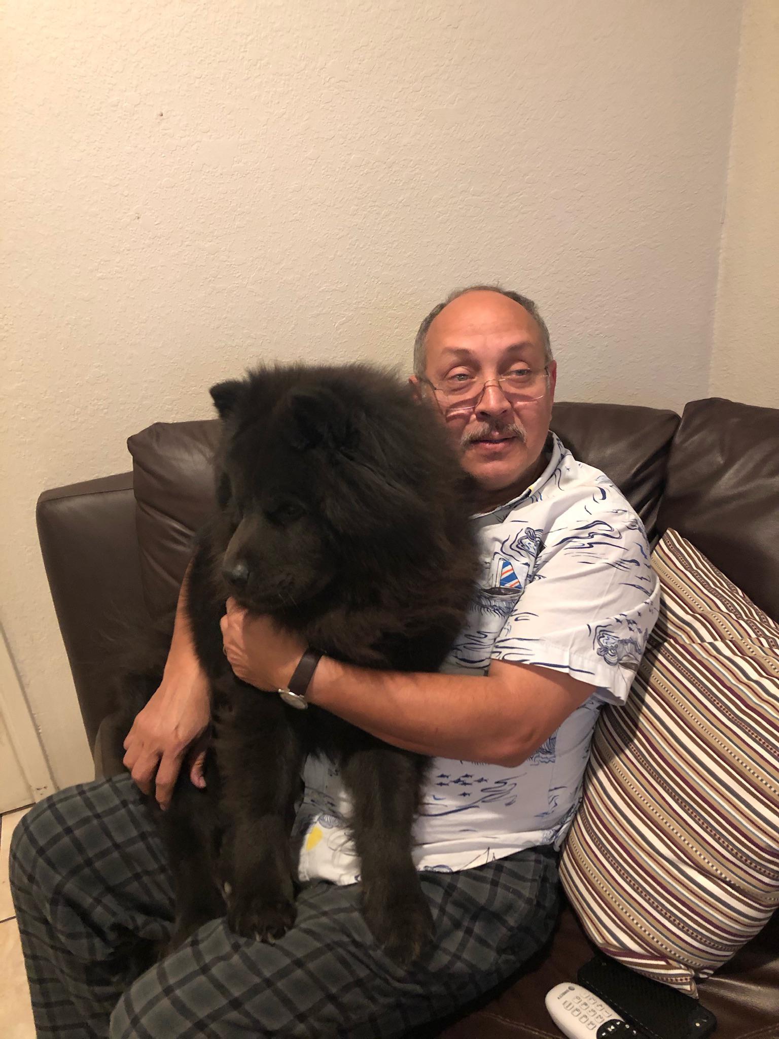 Zazu the lap dog | Scrolller