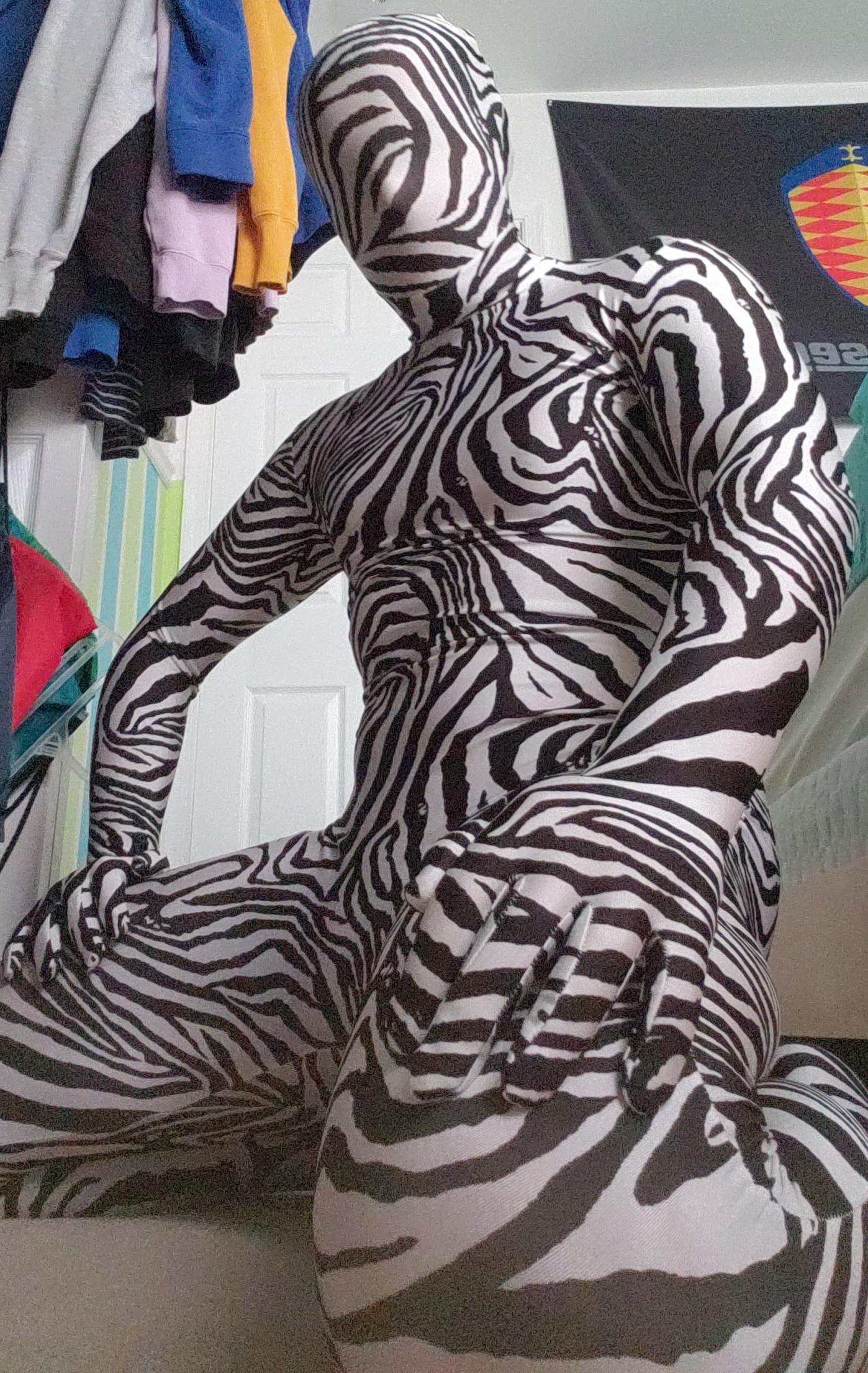 Zebra Pt. 2 | Scrolller