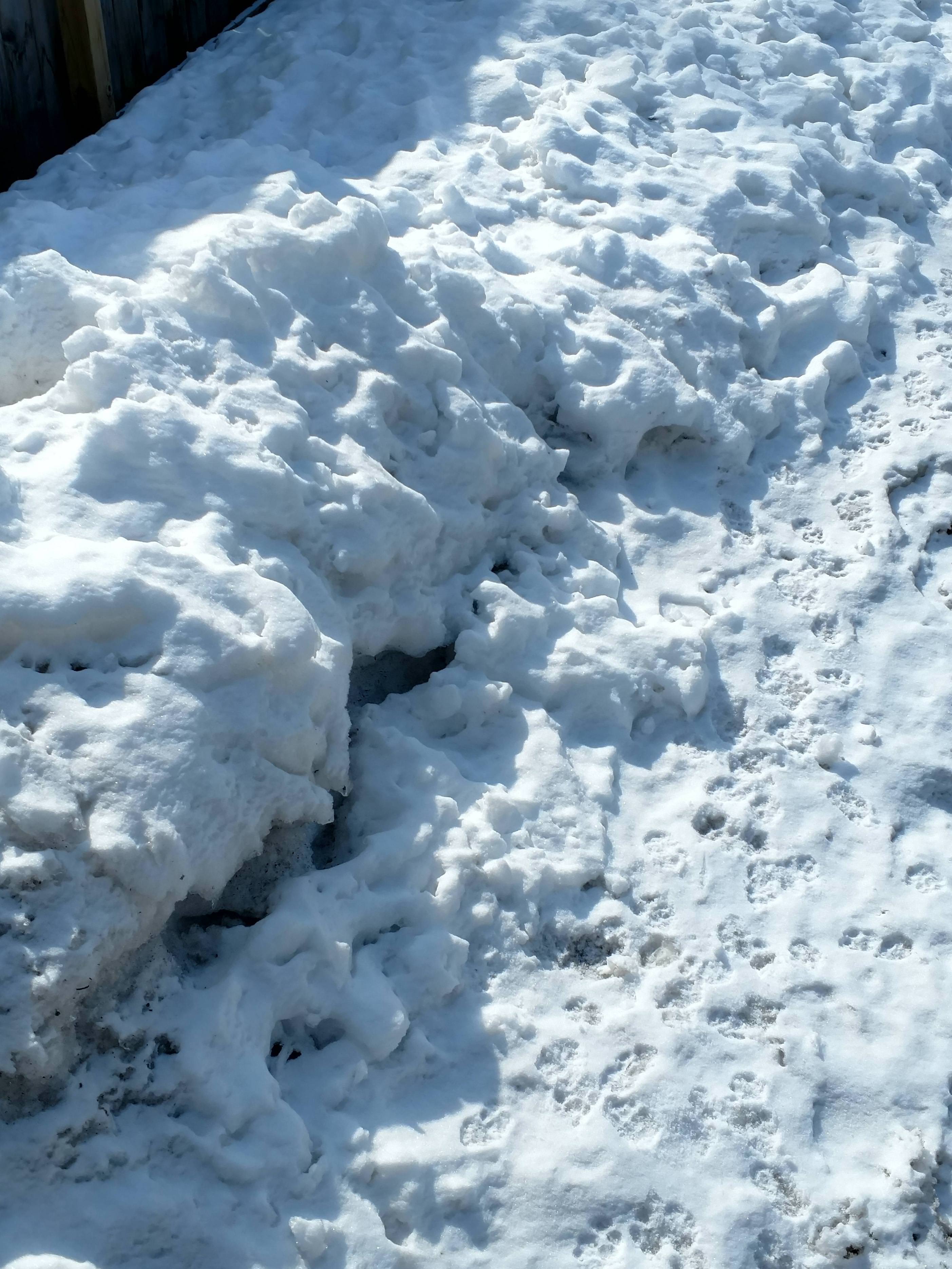 Zone 3a what type of grass is this, and how should prep for summer ...