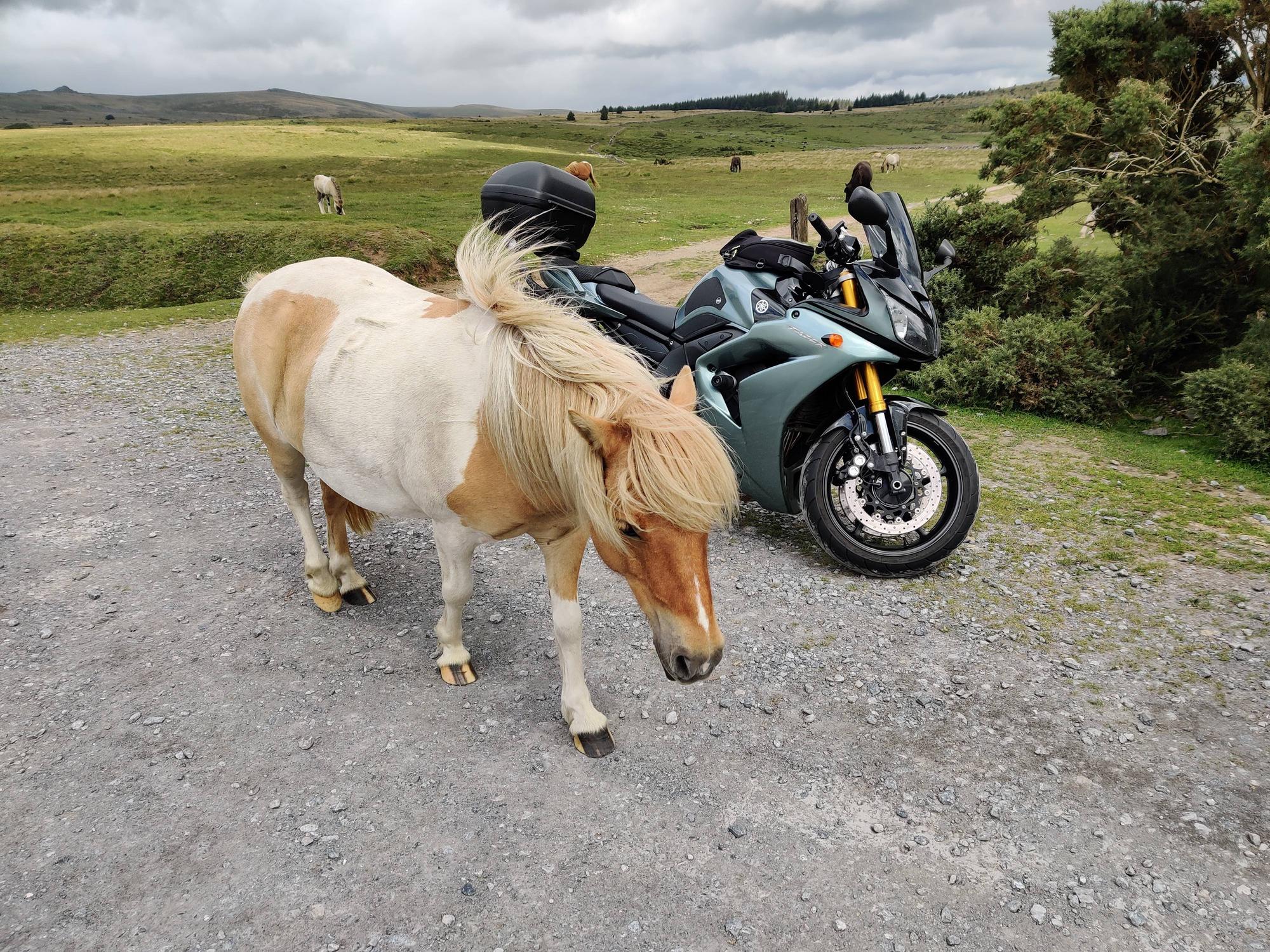 1 extra horsepower | Scrolller