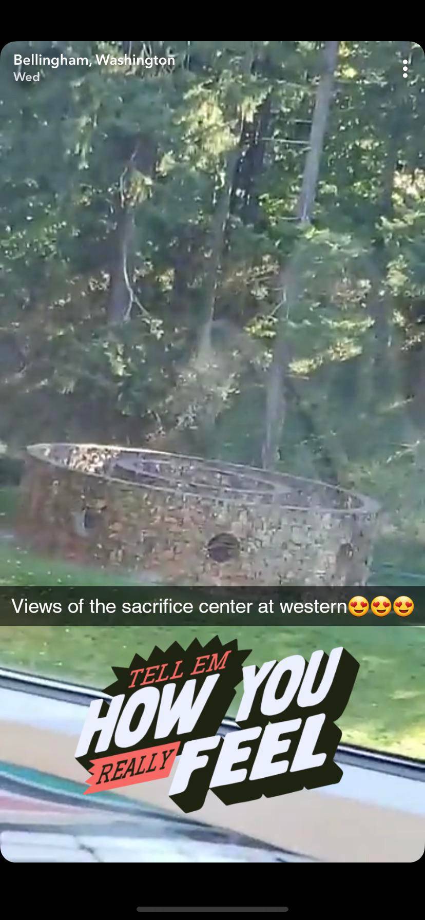 10/10 for western snap story | Scrolller