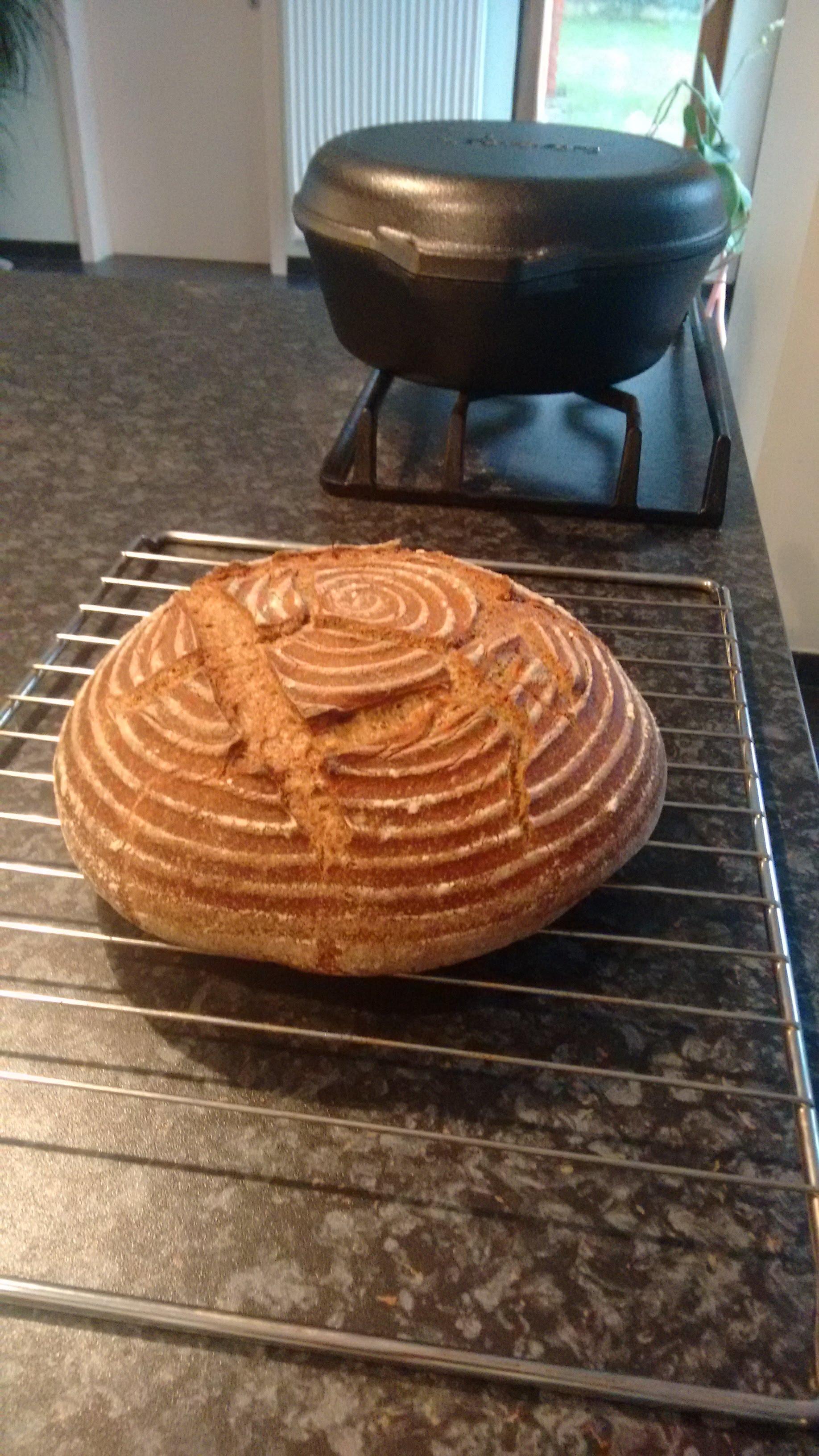 100% whole wheat sourdough | Scrolller