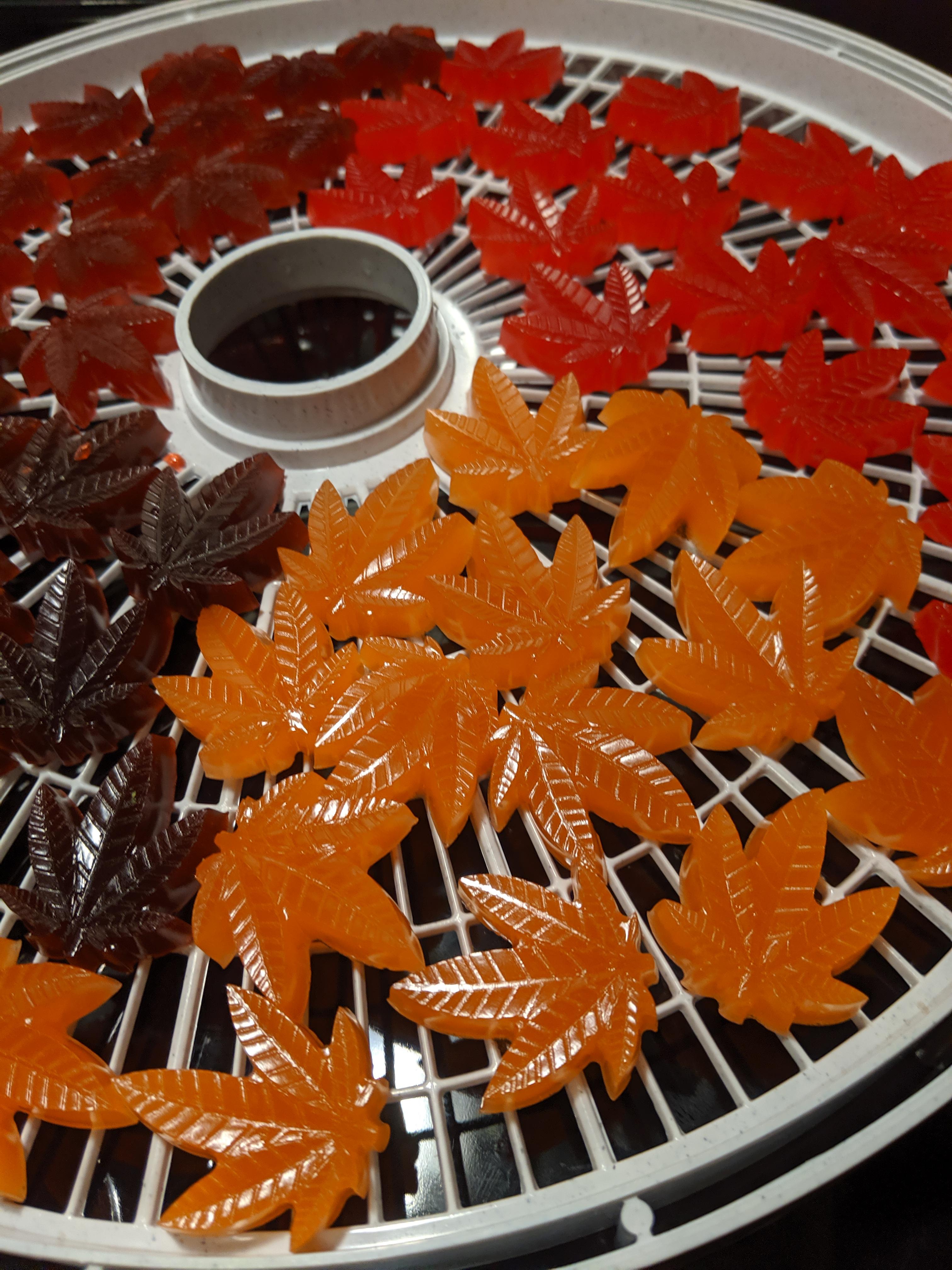 10mg "fall foliage" getting good results with these. Will coat in sugar in a day or so 🌴🍁🌲💯💯💯💦💦💦 ...