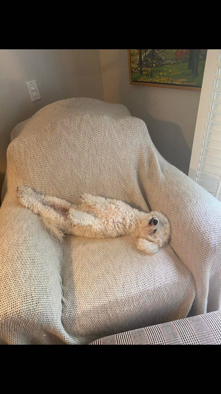 13 years young and derpy as ever. | Scrolller