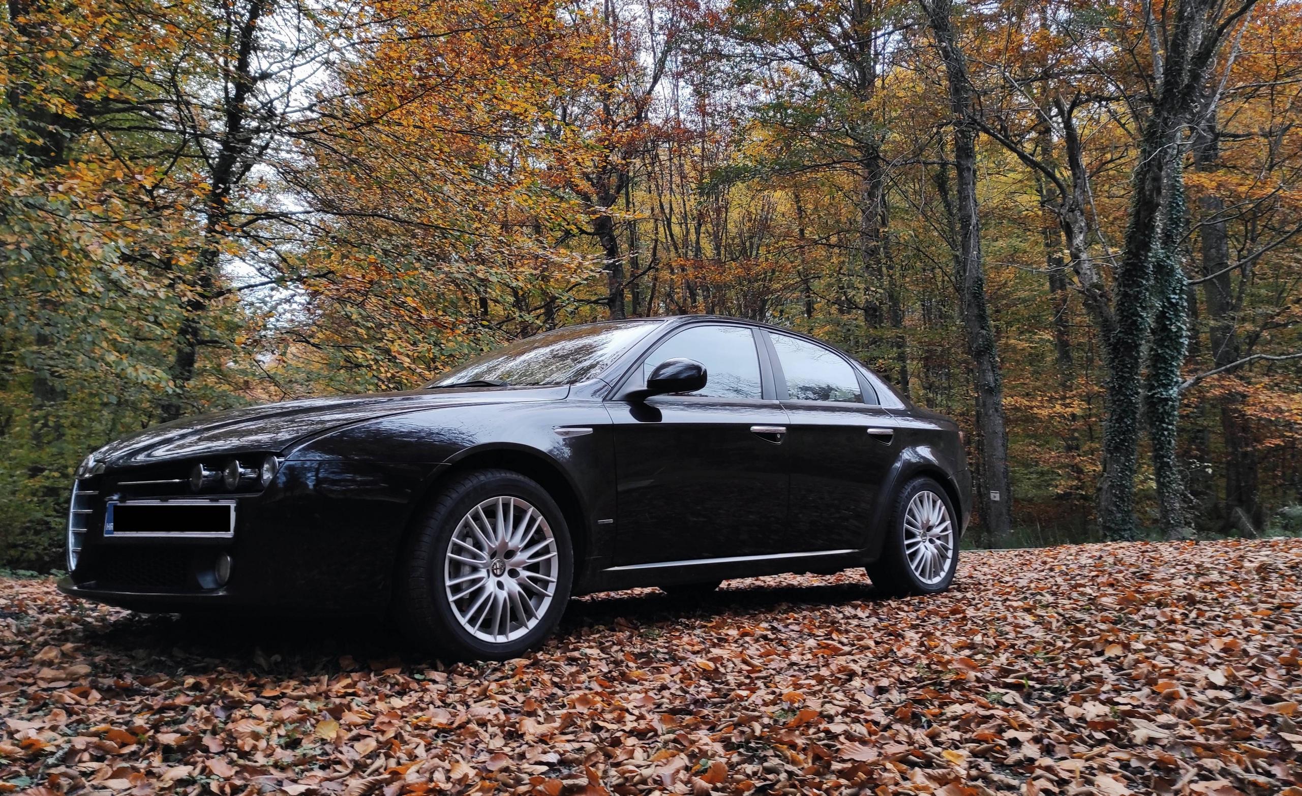 159 in the woods | Scrolller